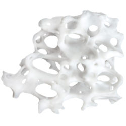 store | Lynch Biologics, LLC